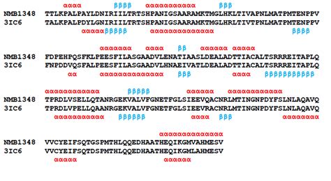 Structure Based Pair Wise Sequence Alignment Of N Meningitidis And N