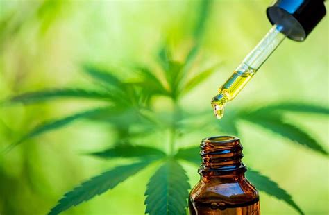 Benefits Of Cbd Oil Premier Health And Wellness