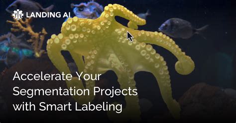 Smart Labeling Ai Image Annotation Tool For Segmentation Projects