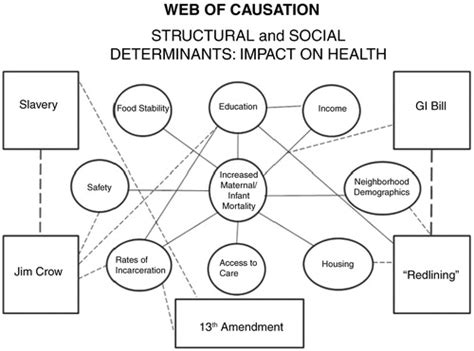 Social And Structural Determinants Of Health Inequities In Maternal