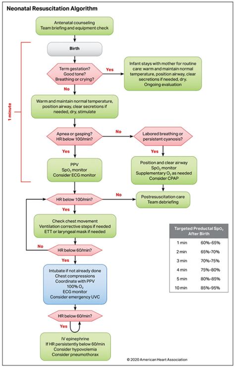 Algorithms American Heart Association Cpr And First Aid