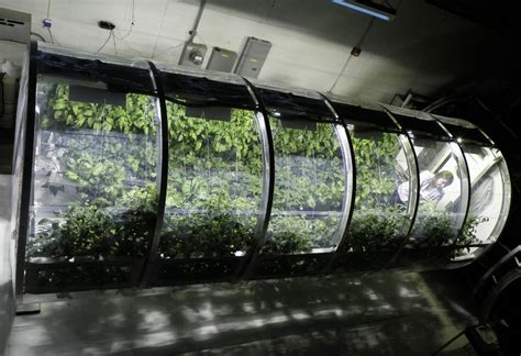 Automated Greenhouse System 9 Crucial Components Insongreen