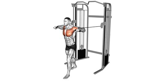 10 Best Arm Pump Exercises For Building Stronger Biceps And Triceps
