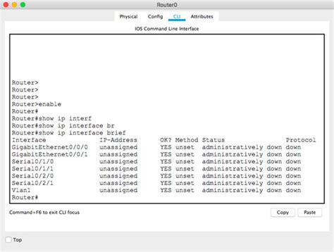 router isr 4321 not showing serial interface