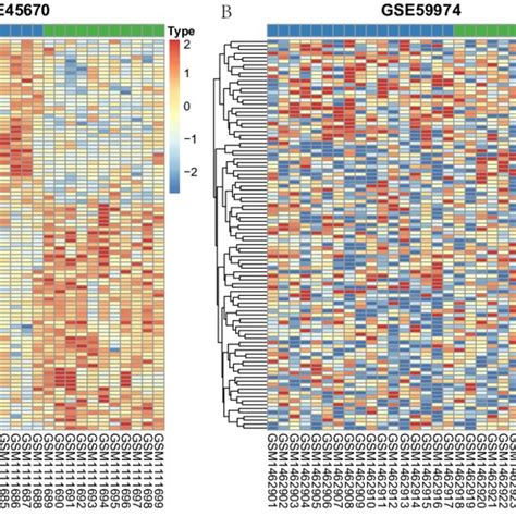Heatmap Representing The Expression Levels Of Genes Between Responder