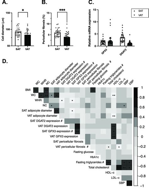 Features Of Adipose Tissue Dysfunction Differences In Mean Adipocyte