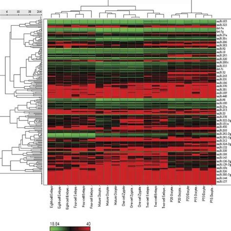 unsupervised hierarchical clustering heat map of mirna expression