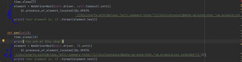 timeoutexeption raised when using selenium with python stack overflow