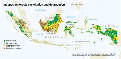 indonesian forests exploitation and degradation grid arendal