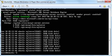 Sql Clarity Sql Server On Ubuntu Installation Overview 44226 Hot Sex
