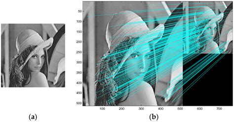 algorithms free full text rst resilient watermarking scheme based