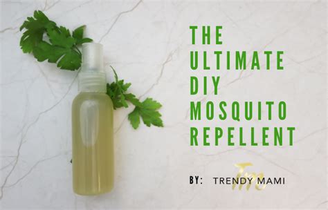 Fight Off The Bugs With This Diy Mosquito Repellent