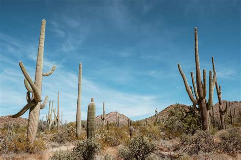 My Favorite Short Trail In Saguaro Desert Discovery Nature Trail Red