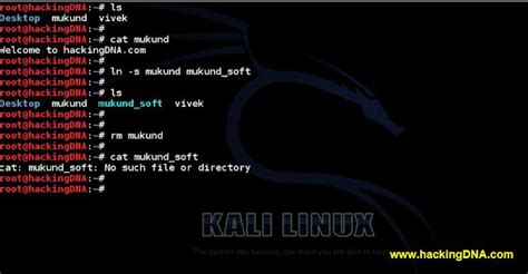 shell scripting on kali linux hackingdna