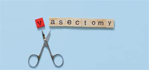 How Does Vasectomy Impact Sexual Function – The Insight Post