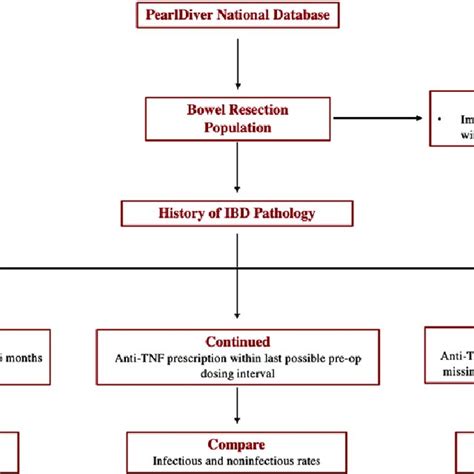 Patient Selection Flowchart Download Scientific Diagram