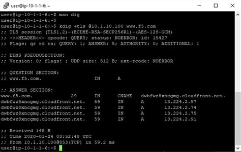 proxying dns over tls queries to traditional dns