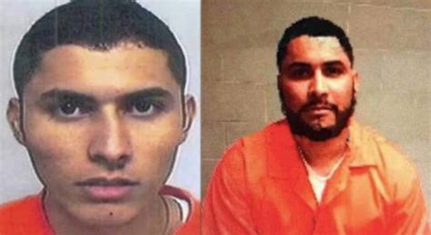 Así Escapó El Chino Ántrax De Las Autoridades De Estados Unidos