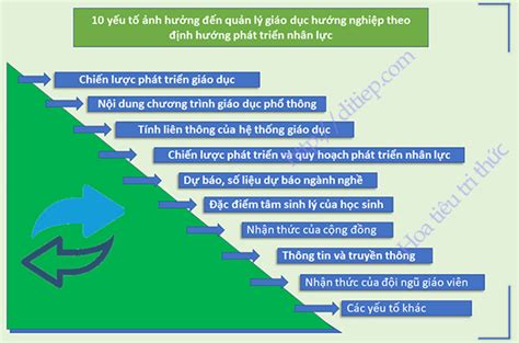 10 Yếu Tố ảnh Hưởng đến Chất Lượng Quản Lý Giáo Dục Hướng Nghiệp Hoa