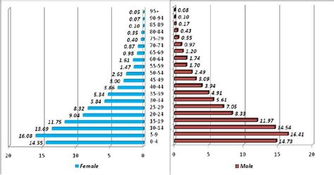 Population Pyramid Of Ethiopia By Sex Source Constructed Based On