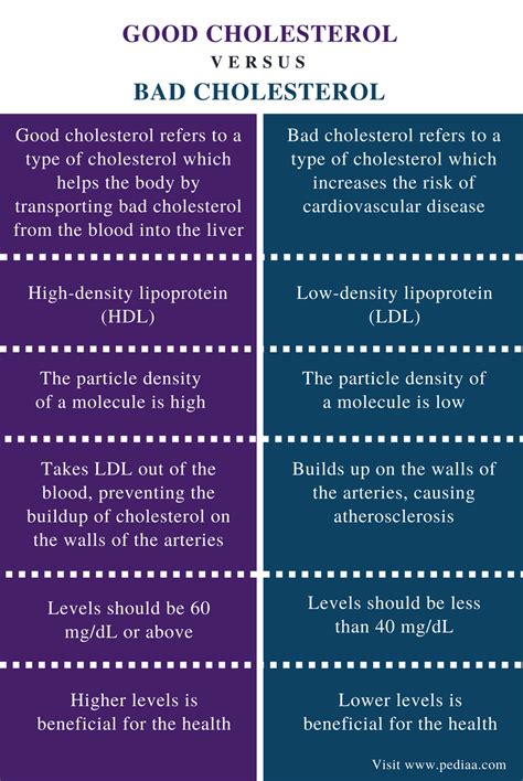 Difference Between Good And Bad Cholesterol Definition Role Normal