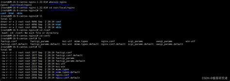 nginx服务器在linux上的安装 nginx安装linux csdn博客
