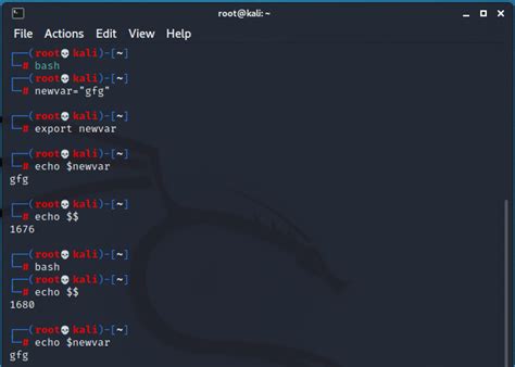 Bash Script Define Bash Variables And Its Types Geeksforgeeks