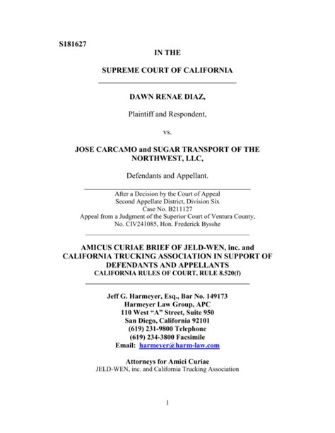 Diaz Amicus Curiae Brief