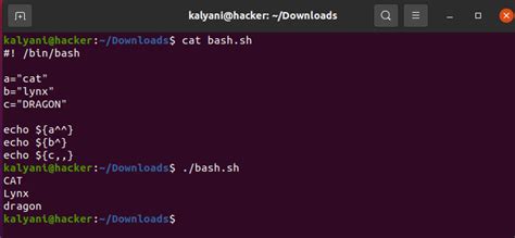 bash scripting symbols
