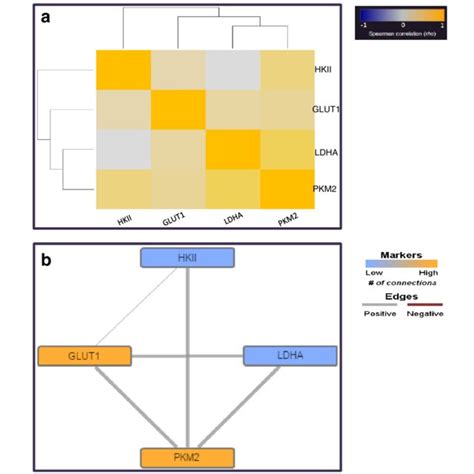 Heatmap And Correlation Network Analysis Of The Expression Of Four