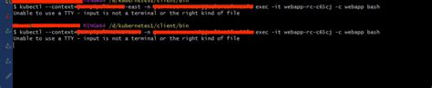 kubectl exec it fails with unable to use a tty and never get a