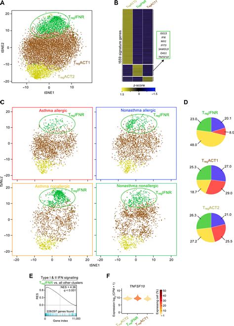 Single Cell Transcriptomic Analysis Of Allergen Specific T Cells In
