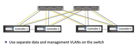 netapp cluster management data and ha networks tutorial flackbox