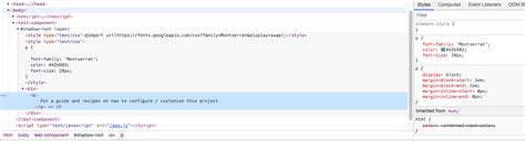 how to load a font with vue web component wrapper · issue