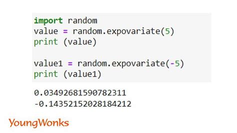 random module python