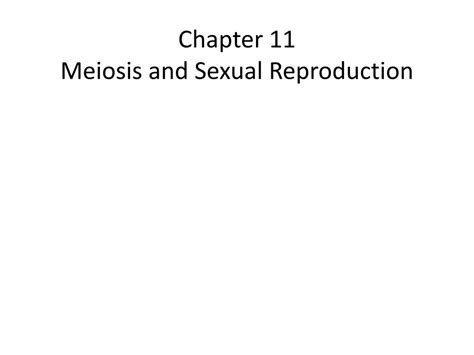 Ppt Chapter 11 Meiosis And Sexual Reproduction Powerpoint
