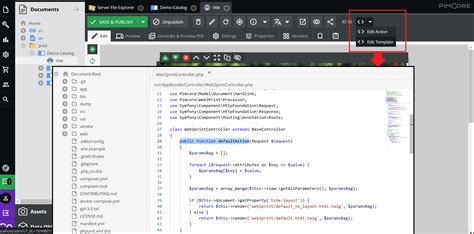 in browser code editor pimcore extension