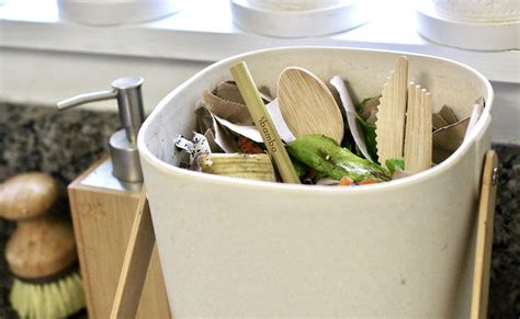 A Beginners Guide To Composting Ibambo