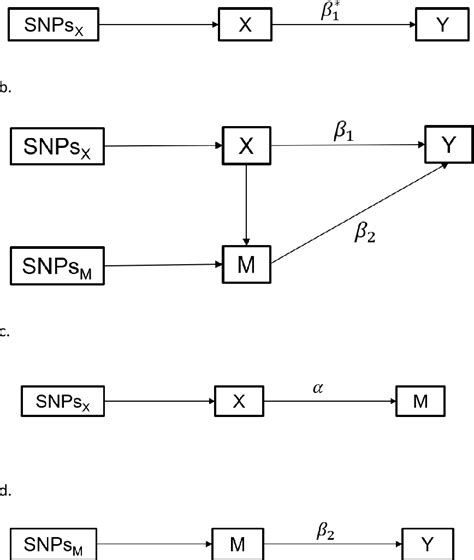 [pdf] Multivariable Mendelian Randomization And Mediation Semantic