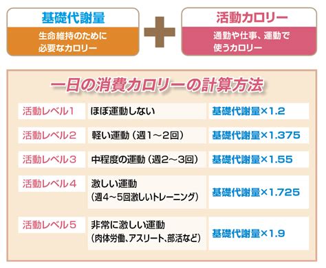 2023減量大作戦2カロリーの収支を正確に把握しよう Uaゼンセン ウェブuaゼンセン 広報局ポータルサイト