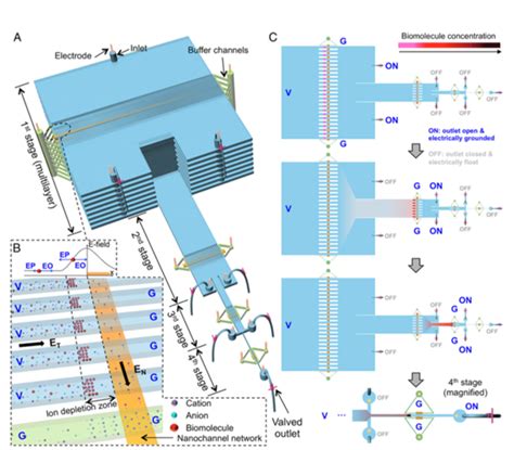 Continuous Microfluidics Based Technologies For Hiv Encyclopedia Mdpi