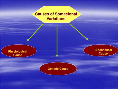 ppt somaclonal variations powerpoint presentation id 222475