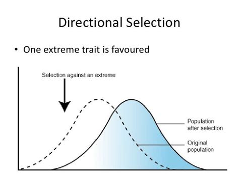 Mr Lopezs Biology Class Evolution Chapter 11