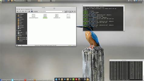 how to create a samba server in linux mint ubuntu or debian samba