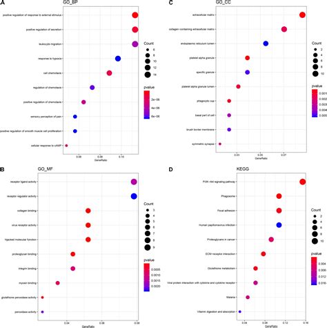 Frontiers Lncrna And Mrna Expression Profiles In Methylprednisolone