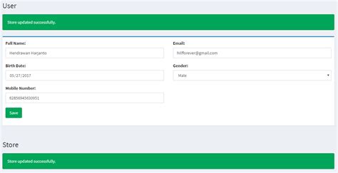 coding for messages box in laravel