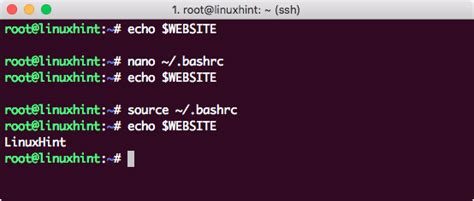 bash environment variables tutorial linux hint