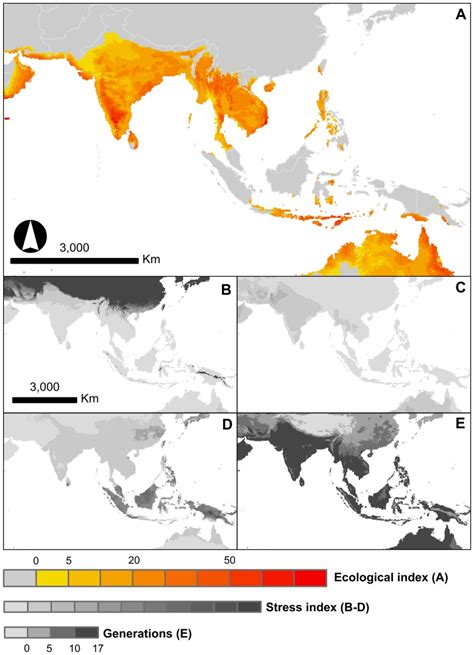 The Cassava Mealybug Phenacoccus Manihoti In Asia First Records