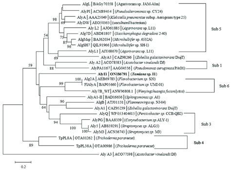 Phylogenetic Analysis Of Alyil With Other Reported Alginate Lyases The
