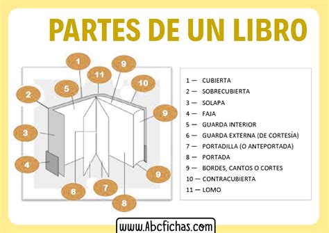 Estructura Y Partes De Un Libro